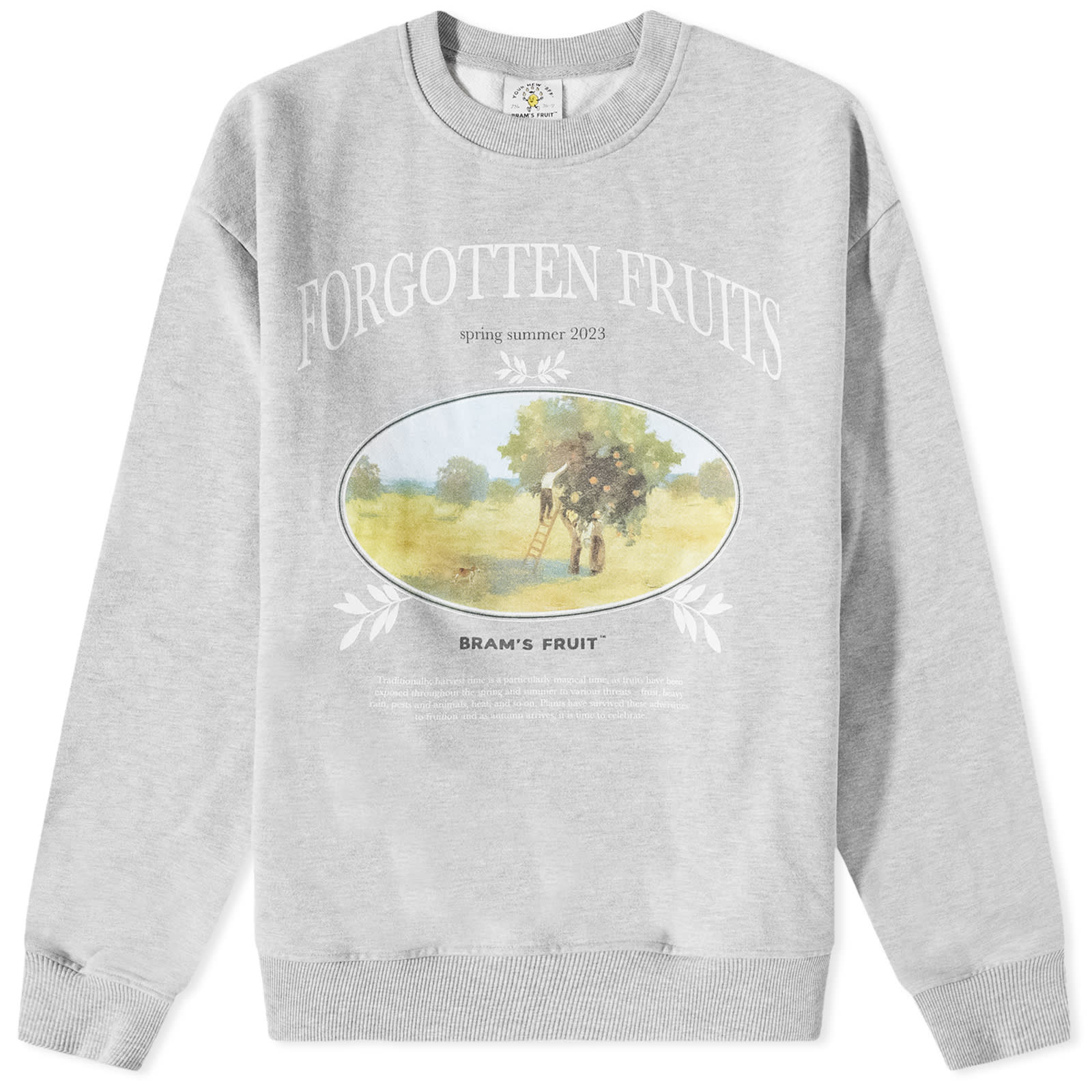 Bram's Fruit Forgotten Fruits Harvest Crew Sweat Grey | END. (KR)