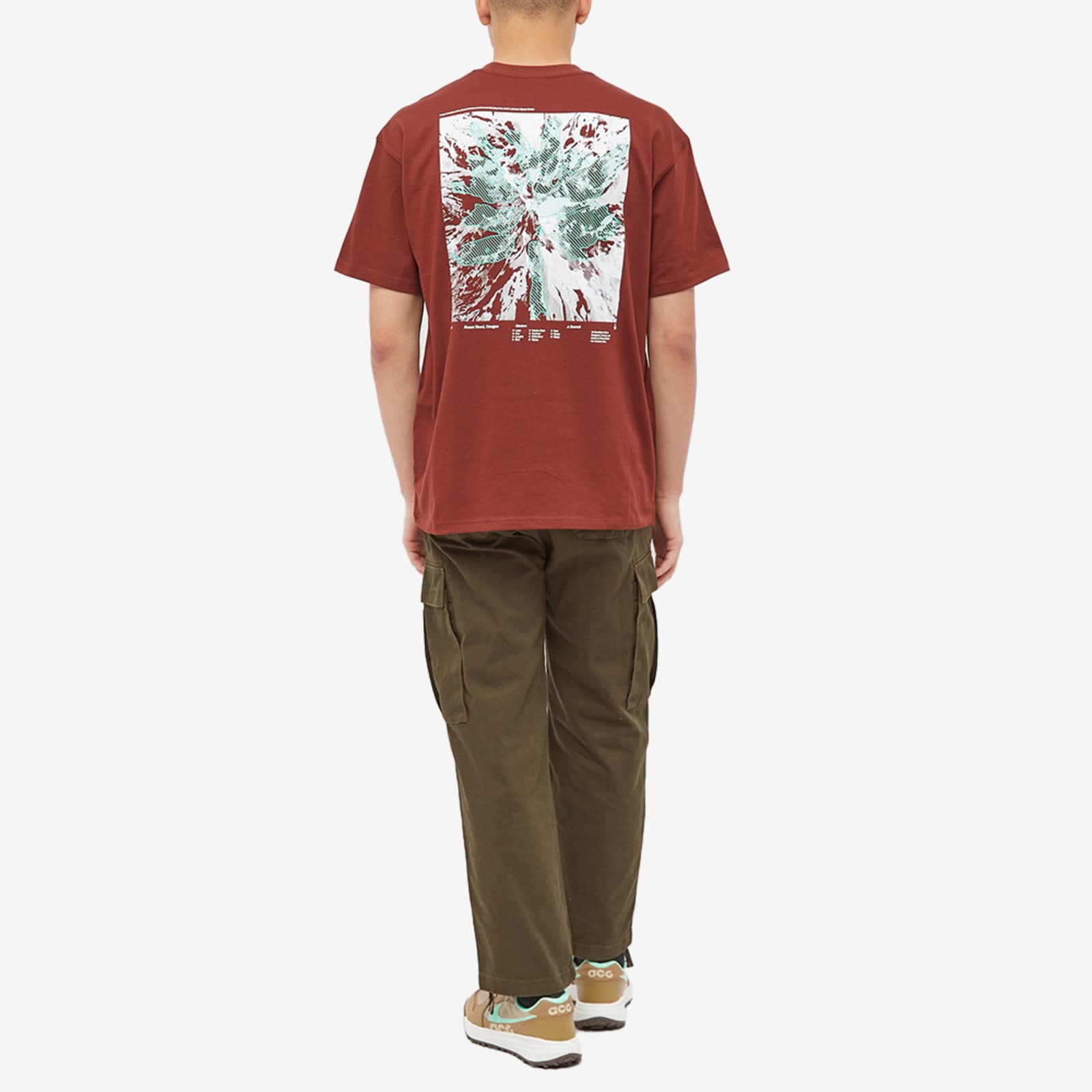 Nike ACG Glacier T-Shirt Oxen Brown | END. (GB)