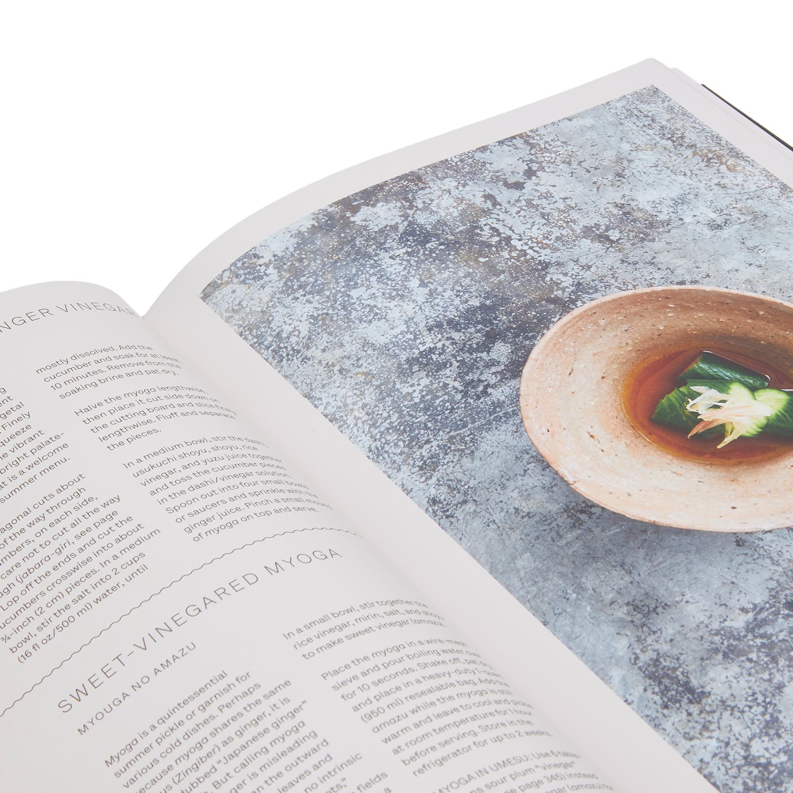 Japan: The Vegetarian Cookbook Nancy Singleton Hachisu | END. (US)