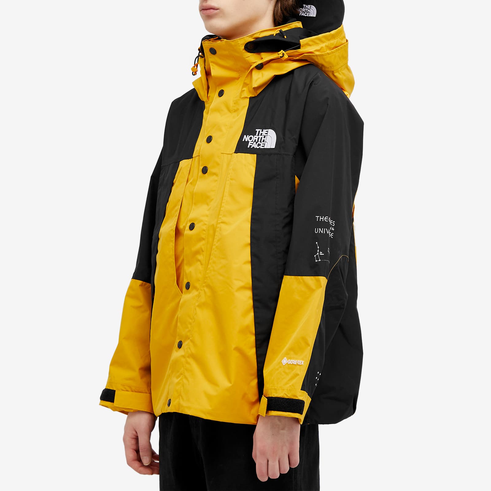 The North Face UE Gore-Tex Multi Pocket Jacket Tnf Black & Summit Gold | END. (CN)