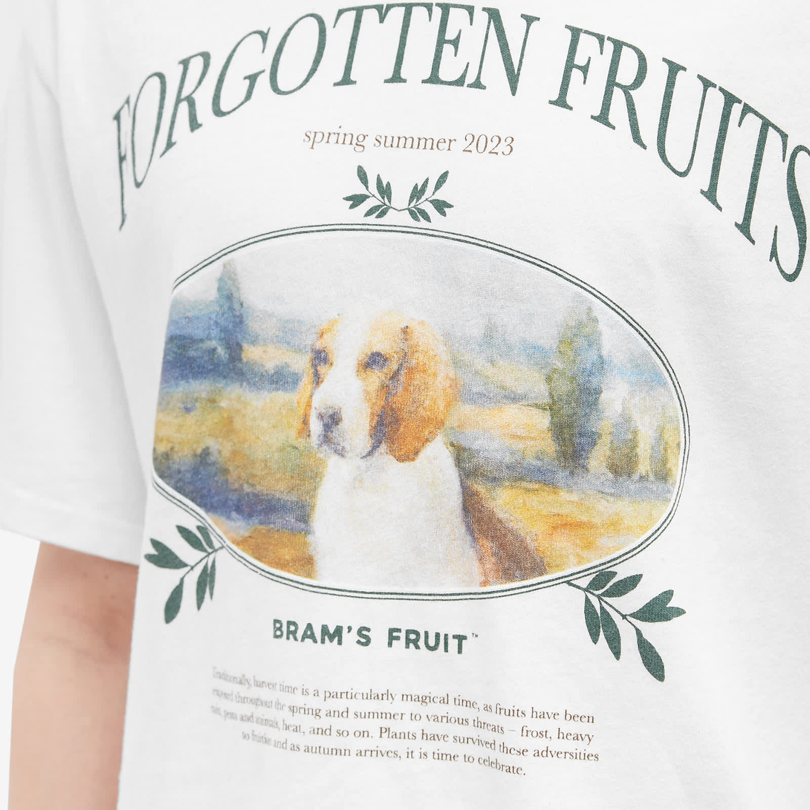Bram's Fruit Forgotten Fruits Beagle T-Shirt White | END. (HK)